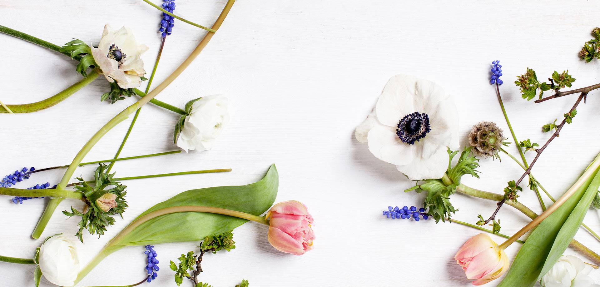 Design De Flores
